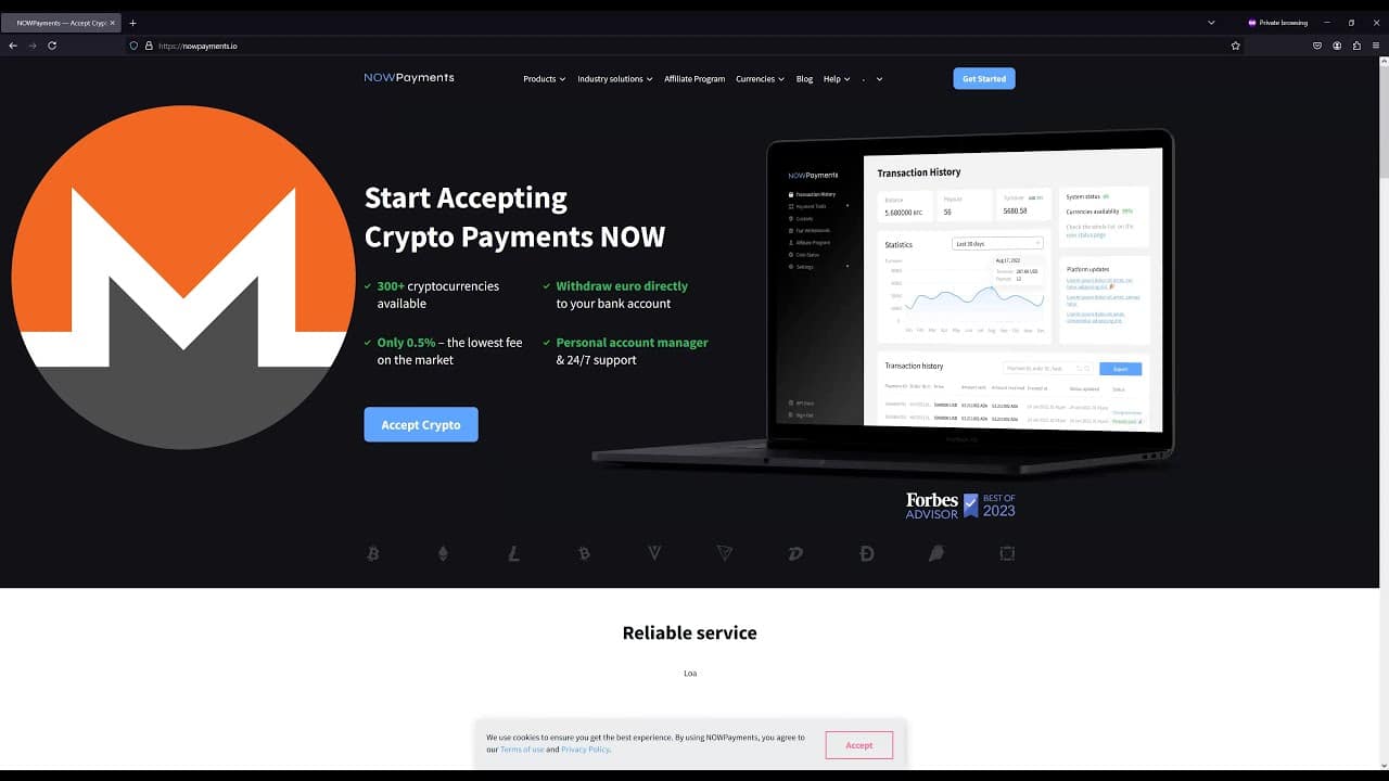 NowPayments: The Secret Sauce to Getting Paid Faster Than a Pizza Delivery