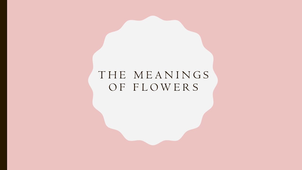 Discover the fascinating story behind the floral emblem of Victoria ...