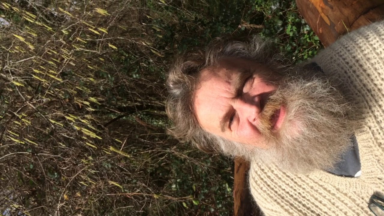 What is the smack meaning? Uncover the surprising truth behind this ...