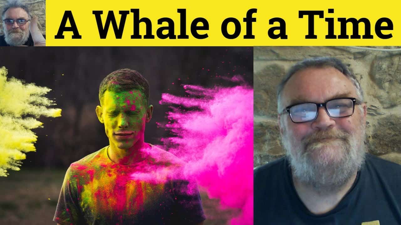 Unlocking the whale meaning: discover its profound symbolism and hidden ...